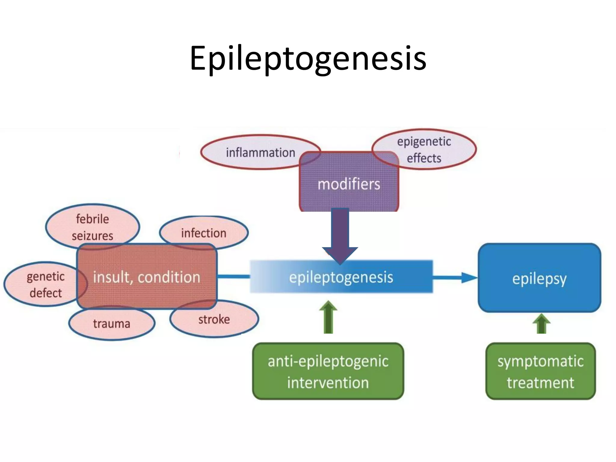 Epilepsy overview | PDF