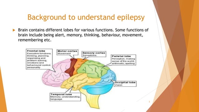 Epilepsy: Introduction, Classification, Pathophysiology and Treatment