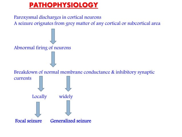Epilepsy | PPTX | Brain and Nervous System Disorders | Diseases and ...