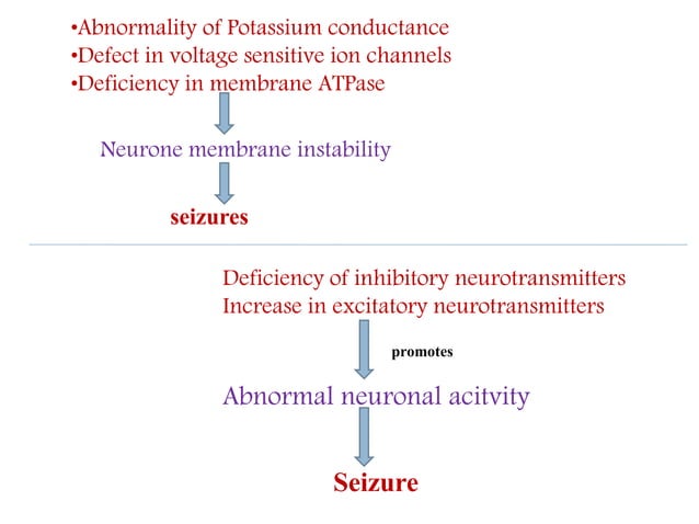 Epilepsy | PPTX | Brain and Nervous System Disorders | Diseases and ...