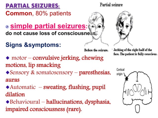 Epilepsy | PPTX | Brain and Nervous System Disorders | Diseases and ...