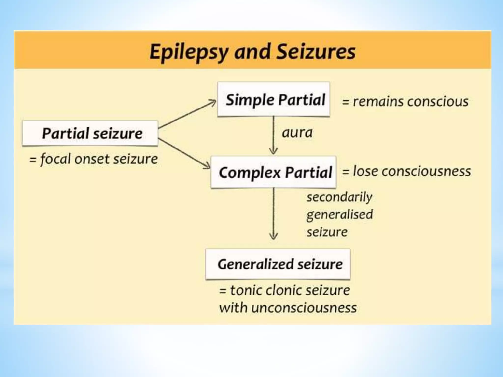 Epilepsy Types | PPTX | Brain and Nervous System Disorders | Diseases ...