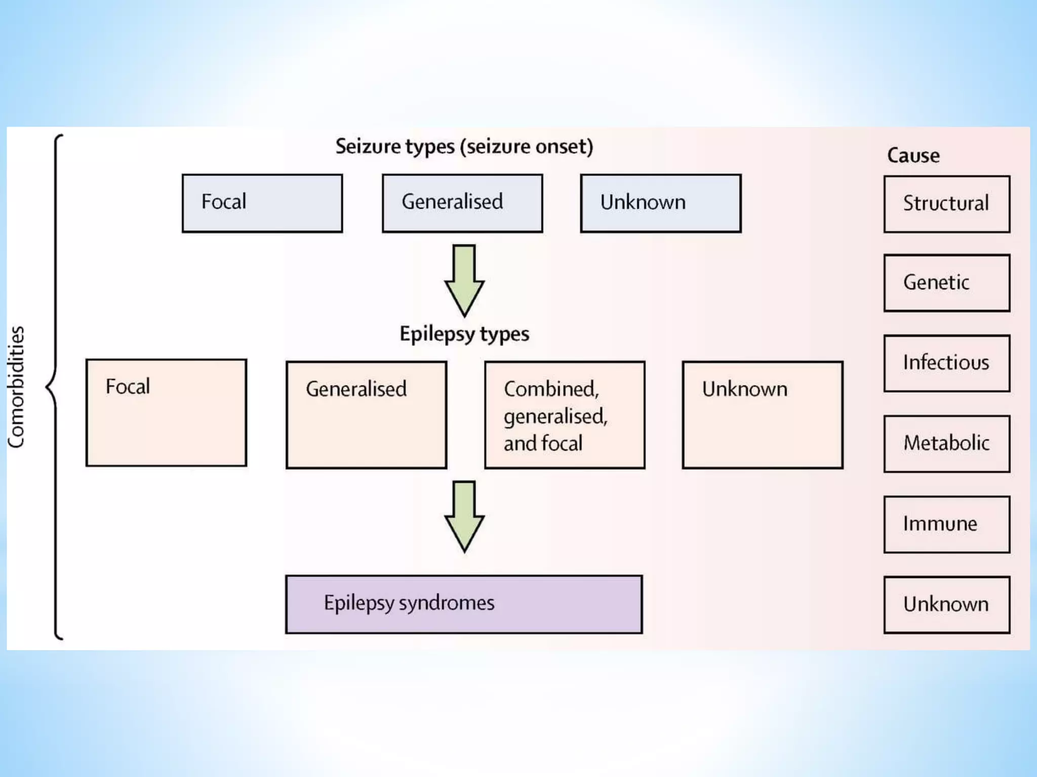 Epilepsy Types | PPTX