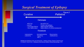 Epilepsy way ahead - A strategic meet pptx | PPT