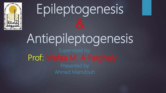 Epileptogenesis | PPTX