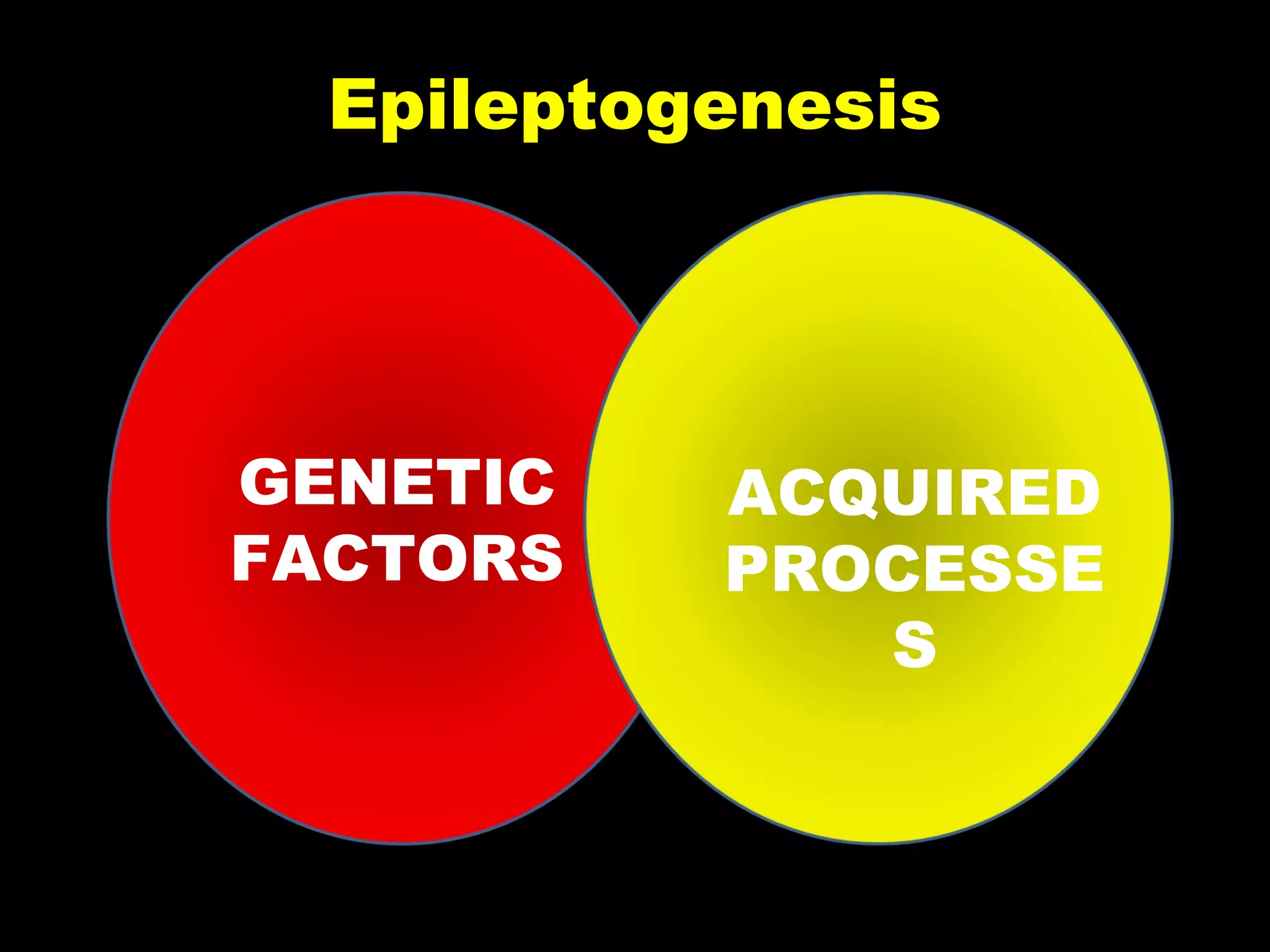 Epileptogenesis - Mechanisms and Clinical Implications | PPT | Brain ...