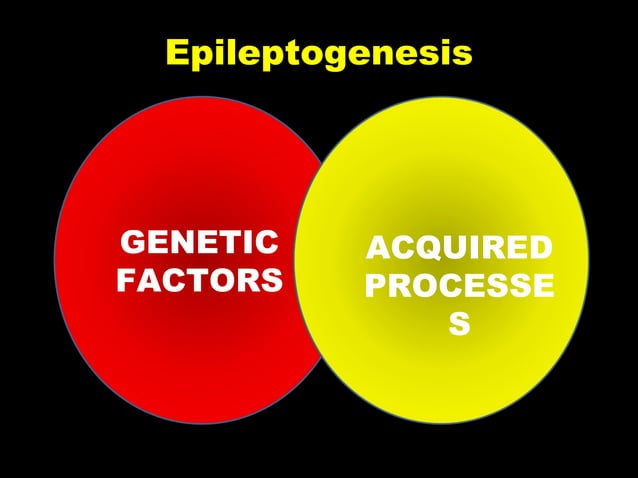 Epileptogenesis - Mechanisms and Clinical Implications | PPT | Brain ...