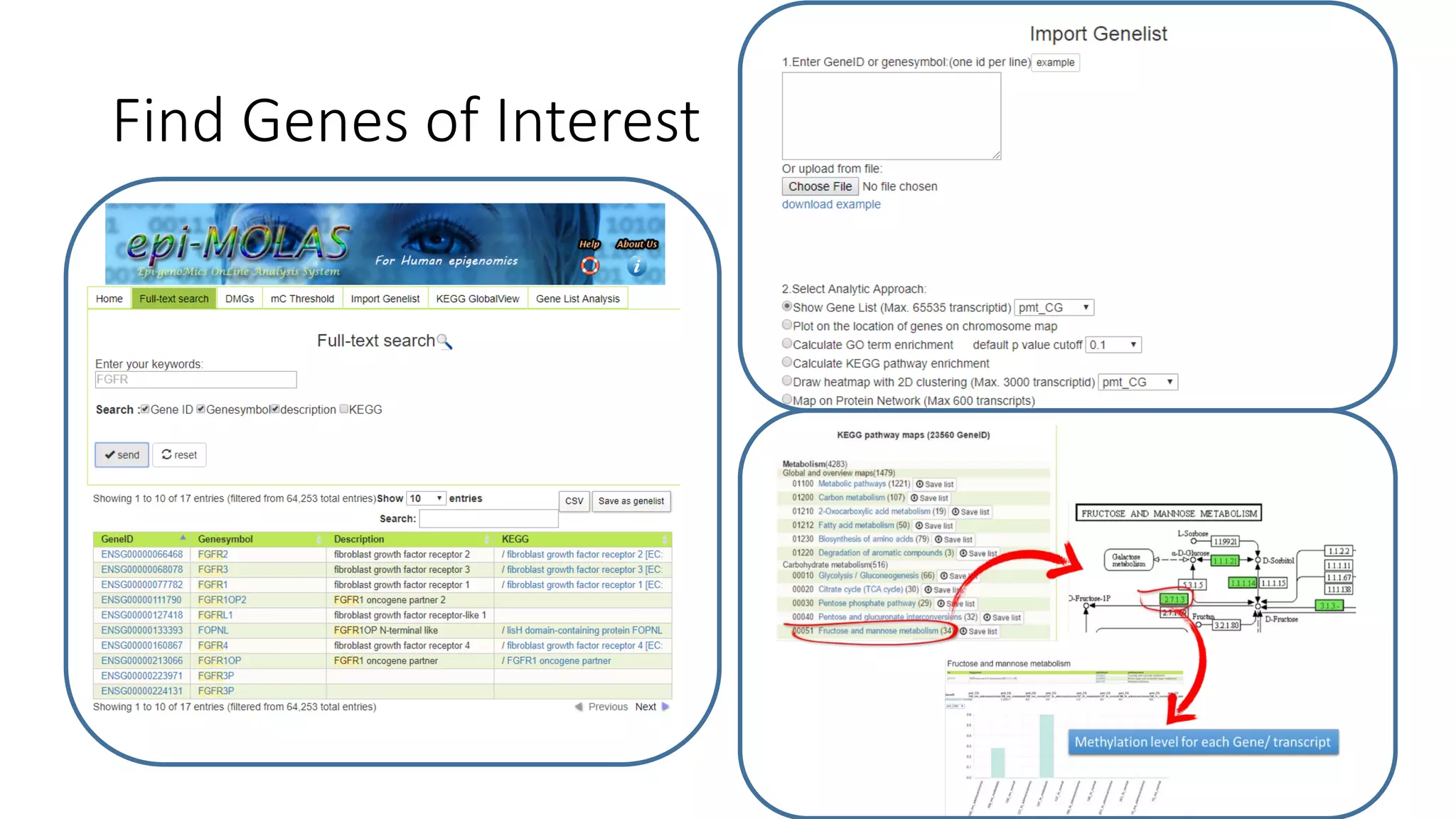 EpiMOLAS: An Intuitive Web-based Framework for Genome-Wide DNA Methylation Analysis | PDF