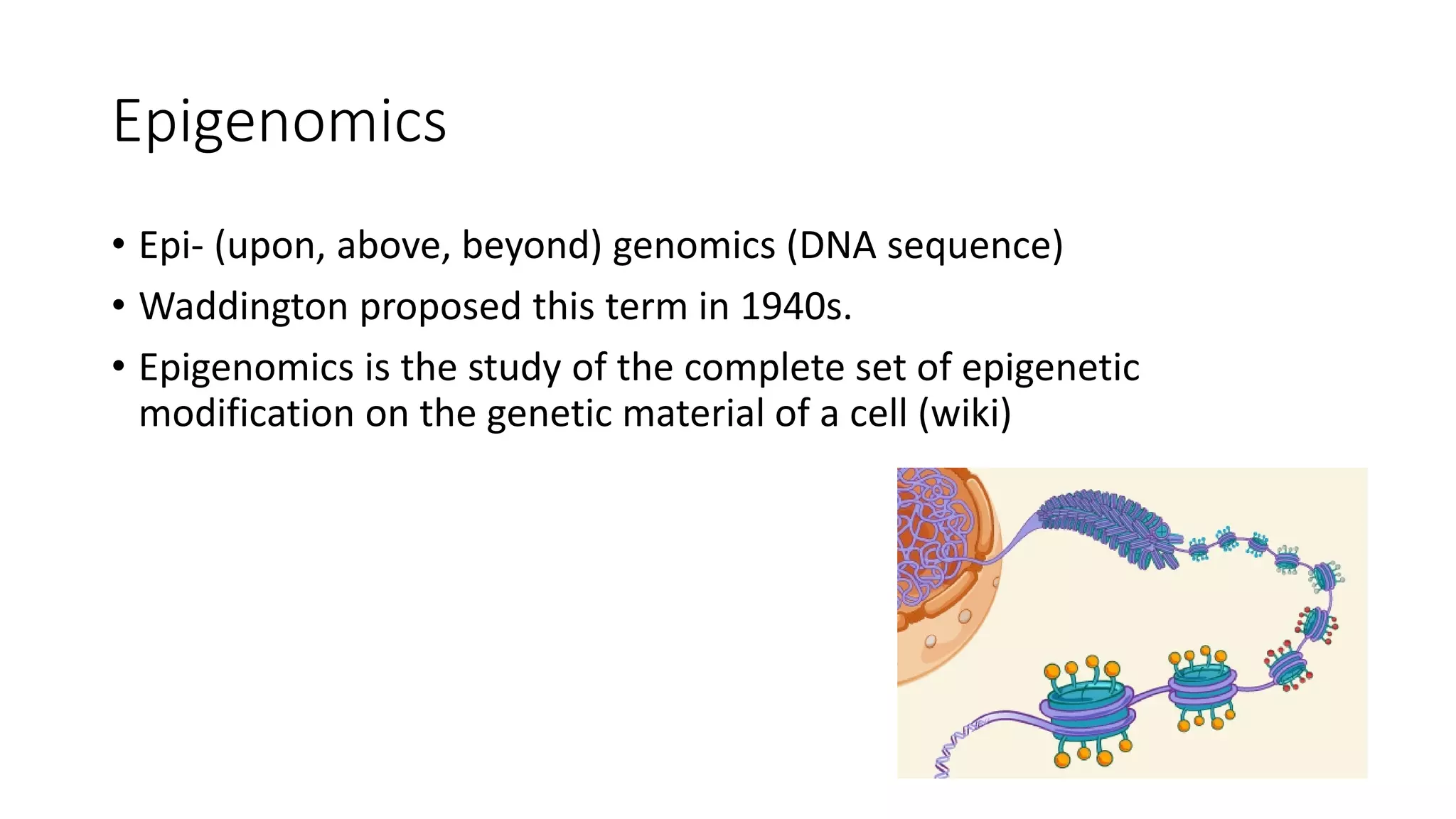 EpiMOLAS: An Intuitive Web-based Framework for Genome-Wide DNA Methylation Analysis | PDF