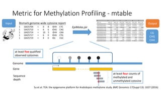 EpiMOLAS: An Intuitive Web-based Framework for Genome-Wide DNA Methylation Analysis | PDF