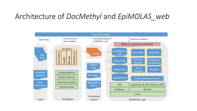 EpiMOLAS: An Intuitive Web-based Framework for Genome-Wide DNA Methylation Analysis | PDF