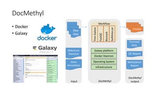 EpiMOLAS: An Intuitive Web-based Framework for Genome-Wide DNA Methylation Analysis | PDF