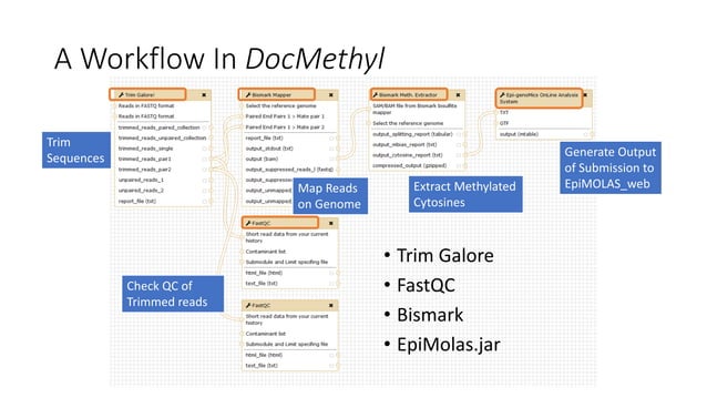 EpiMOLAS: An Intuitive Web-based Framework for Genome-Wide DNA Methylation Analysis | PDF