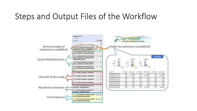 EpiMOLAS: An Intuitive Web-based Framework for Genome-Wide DNA Methylation Analysis | PDF