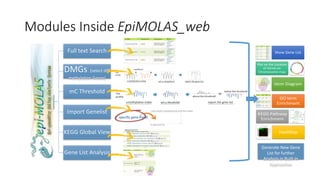 EpiMOLAS: An Intuitive Web-based Framework for Genome-Wide DNA Methylation Analysis | PDF