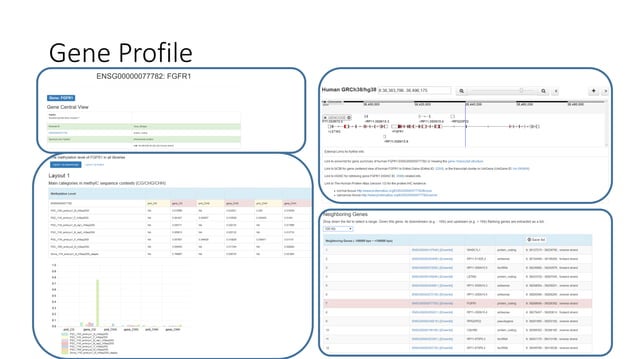 EpiMOLAS: An Intuitive Web-based Framework for Genome-Wide DNA Methylation Analysis | PDF