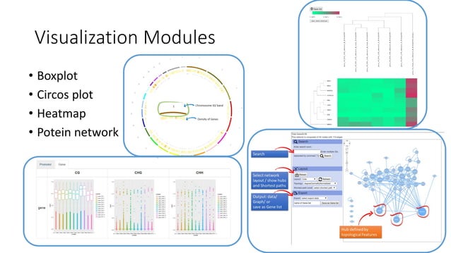 EpiMOLAS: An Intuitive Web-based Framework for Genome-Wide DNA Methylation Analysis | PDF