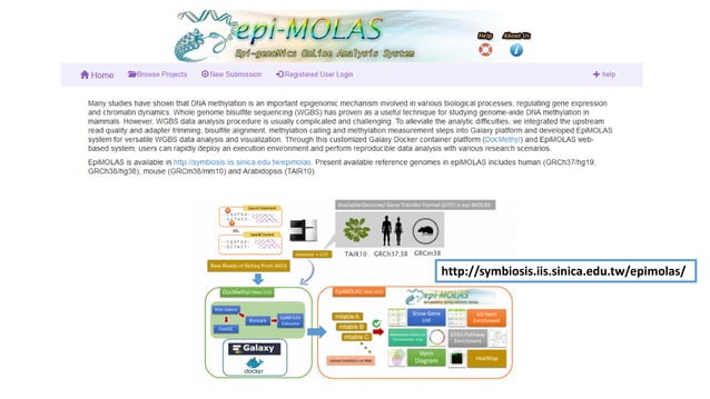 EpiMOLAS: An Intuitive Web-based Framework for Genome-Wide DNA Methylation Analysis | PDF