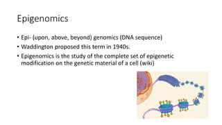 EpiMOLAS: An Intuitive Web-based Framework for Genome-Wide DNA ...