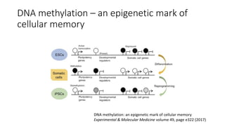 EpiMOLAS: An Intuitive Web-based Framework for Genome-Wide DNA Methylation Analysis | PDF