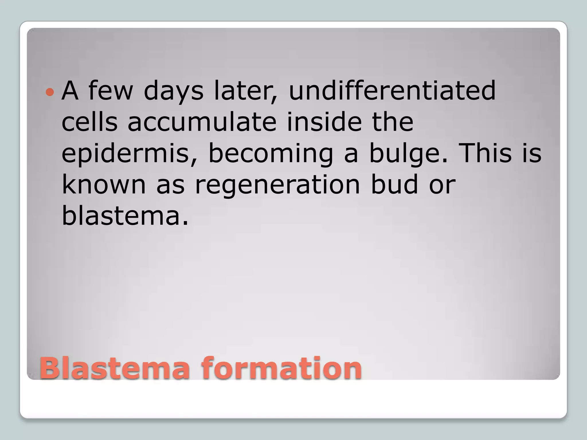 Epimorphic regeneration science project | PPT