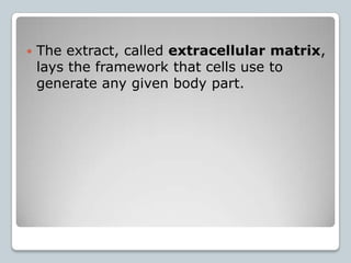 Epimorphic regeneration science project | PPT