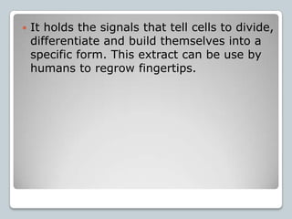 Epimorphic regeneration science project | PPT