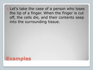 Epimorphic regeneration science project | PPT