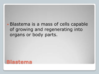 Epimorphic regeneration science project | PPT