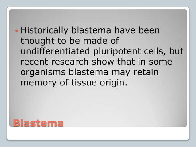 Epimorphic regeneration science project | PPT