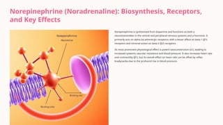 Epinephrine-vs-Norepinephrine.pptxjdjdhdhd | PPTX