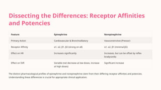 Epinephrine-vs-Norepinephrine.pptxjdjdhdhd | PPTX