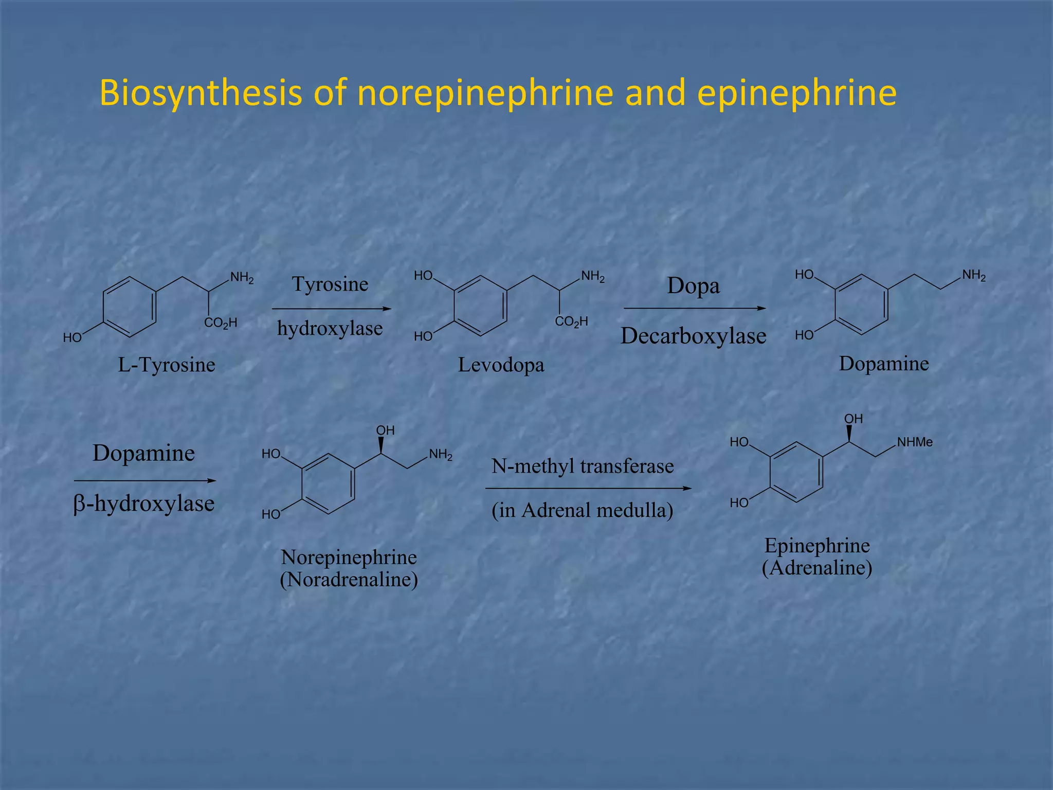 Epinephrine | PPTX
