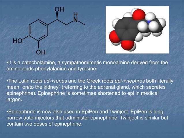 Epinephrine | PPTX | Endocrine and Metabolic Diseases | Diseases and ...
