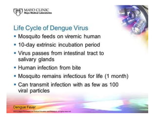 EPIDEMIOLOGY OF DENGUE | PPTX