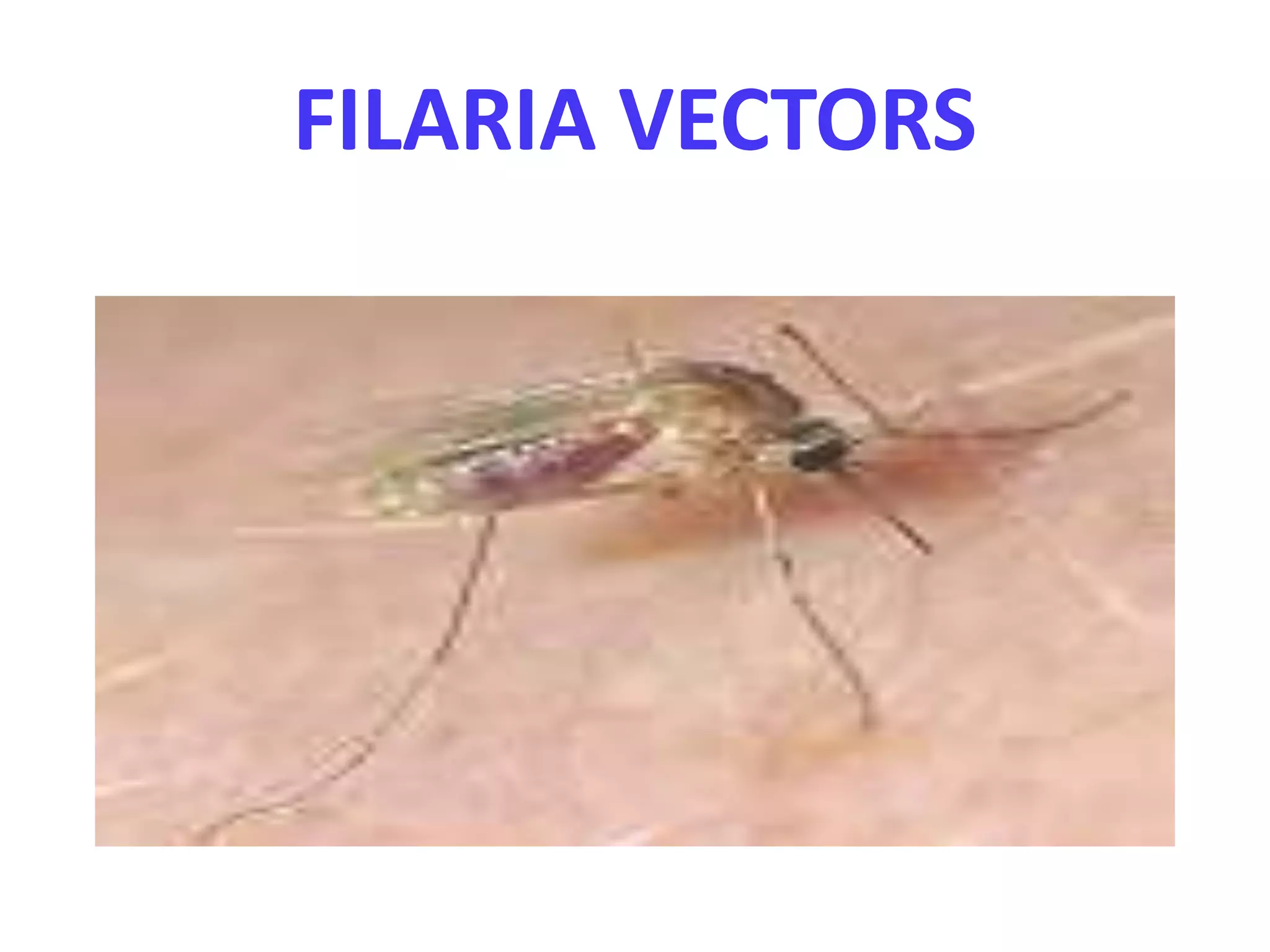 EPIDEMIOLOGY OF FILARIASIS | PPTX