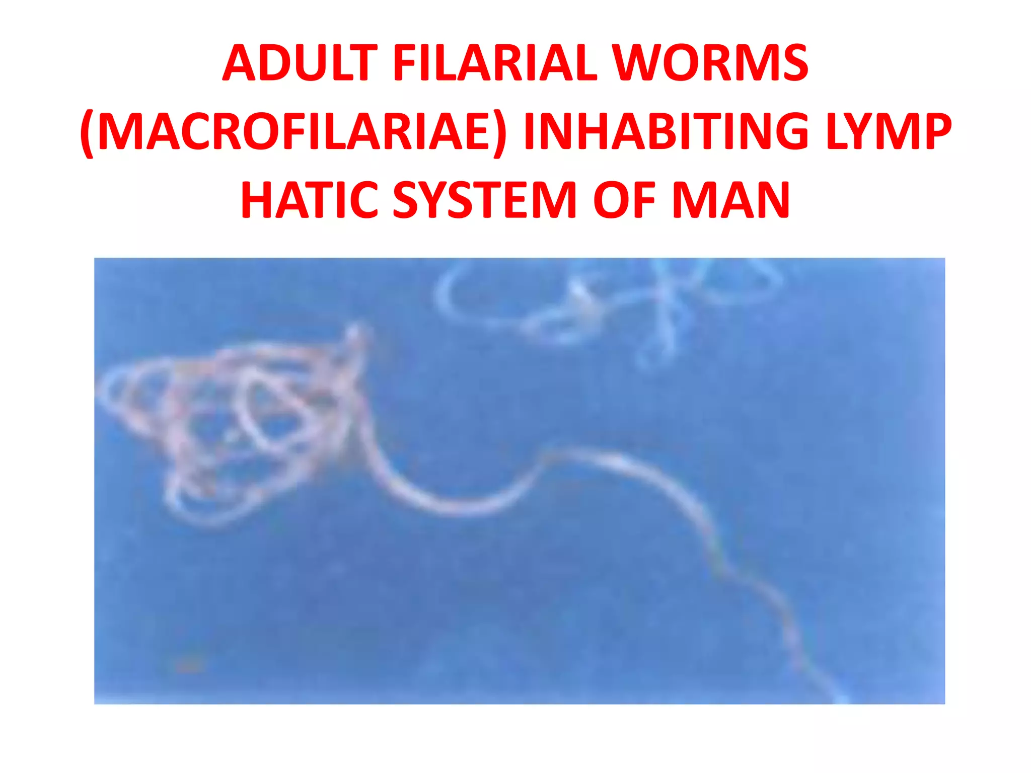 EPIDEMIOLOGY OF FILARIASIS | PPTX