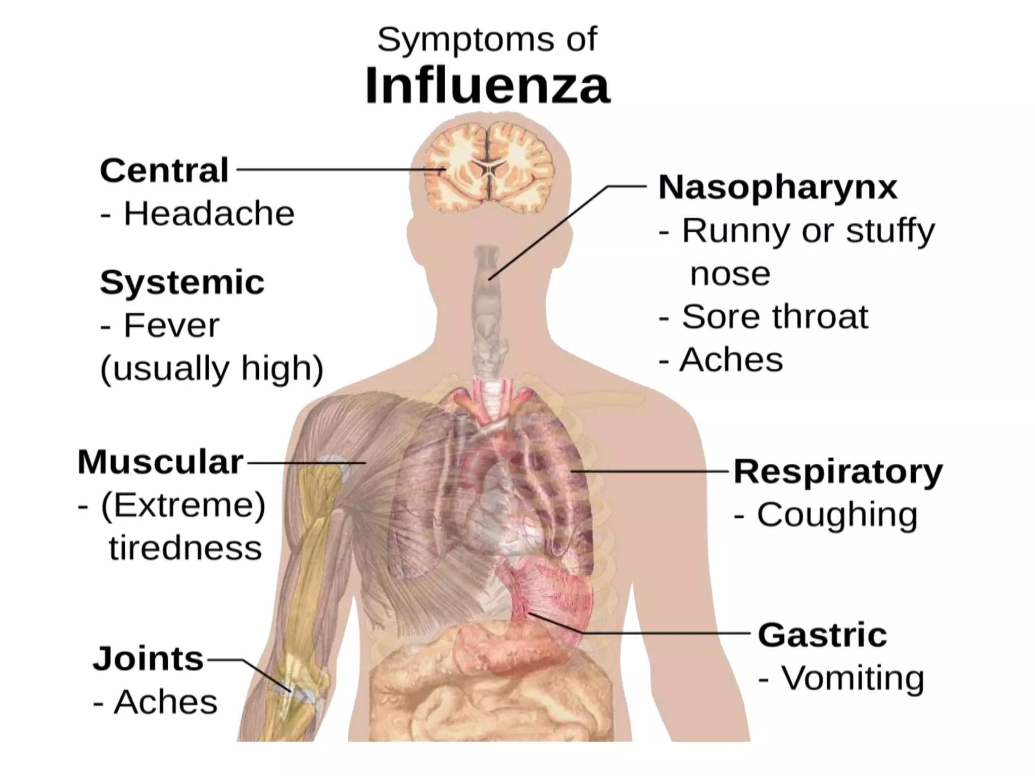 EPIDEMIOLOGY OF INFLUENZA | PPTX