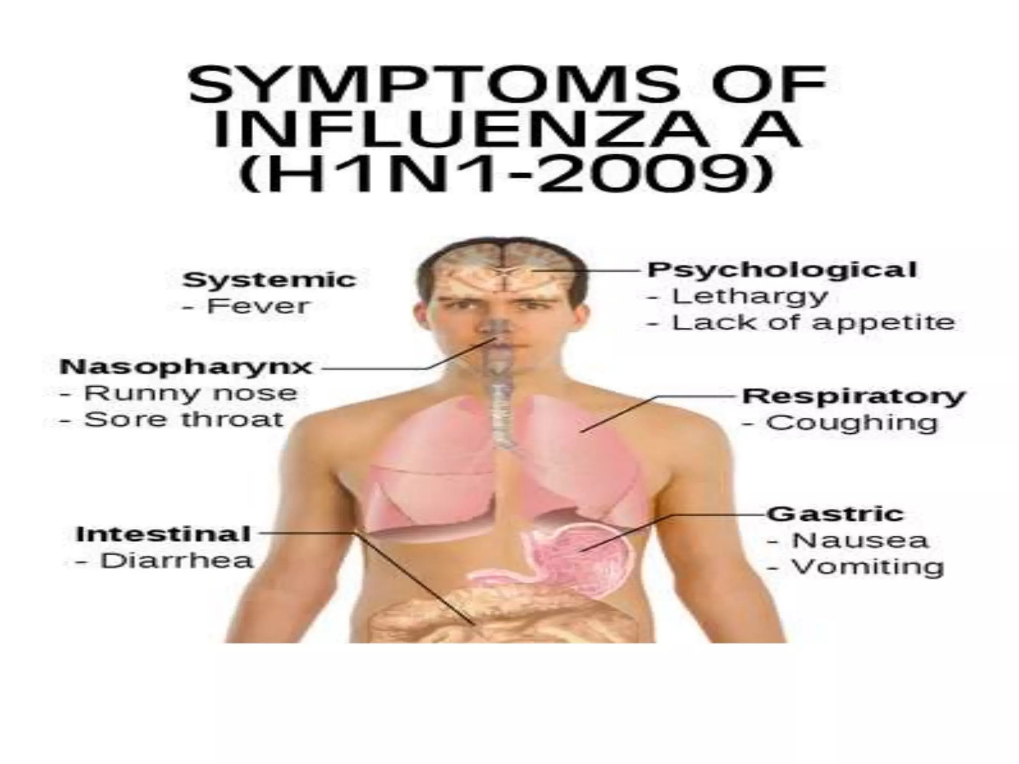 EPIDEMIOLOGY OF INFLUENZA | PPTX
