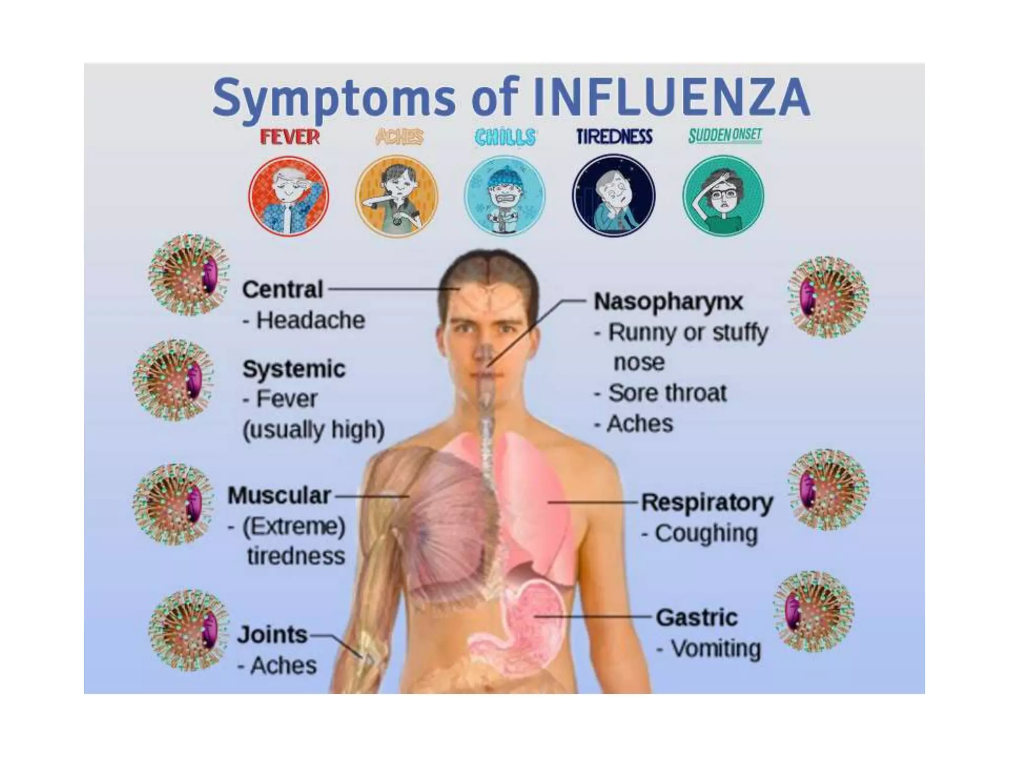 EPIDEMIOLOGY OF INFLUENZA | PPTX