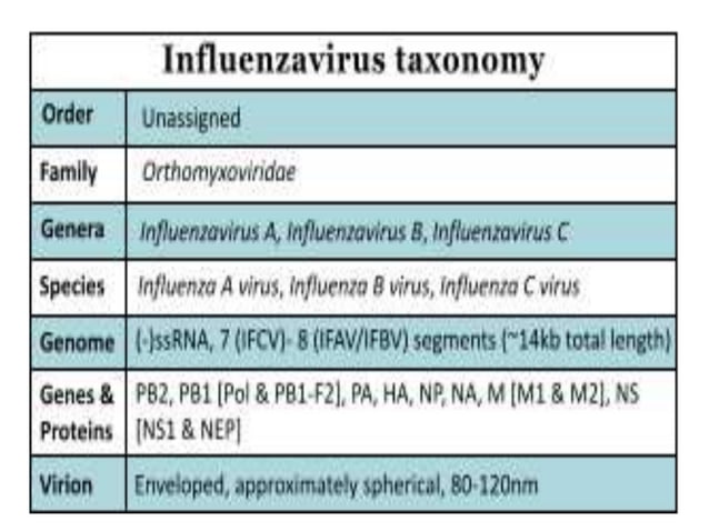 EPIDEMIOLOGY OF INFLUENZA | PPTX