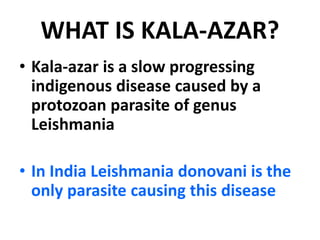 EPIDEMIOLOGY OF KALA AZAR | PPTX