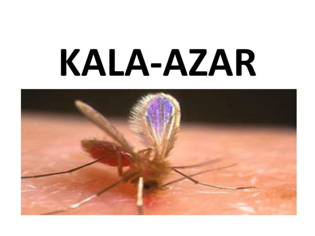 EPIDEMIOLOGY OF KALAAZAR | PPTX