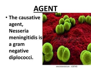 EPIDEMIOLOGY OF MENINGO COCCAL MENINGITIS | PPTX