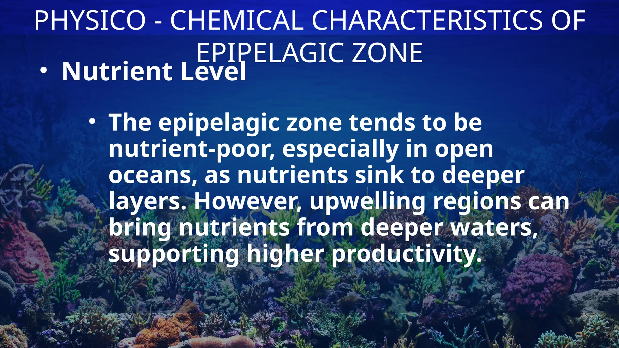 The Epipelagic and Mesopelagic Ocean Zone | PPTX