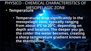The Epipelagic and Mesopelagic Ocean Zone | PPTX