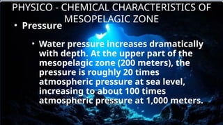 The Epipelagic and Mesopelagic Ocean Zone | PPTX
