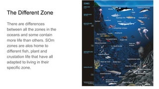 Epipeligic Zone.pdf