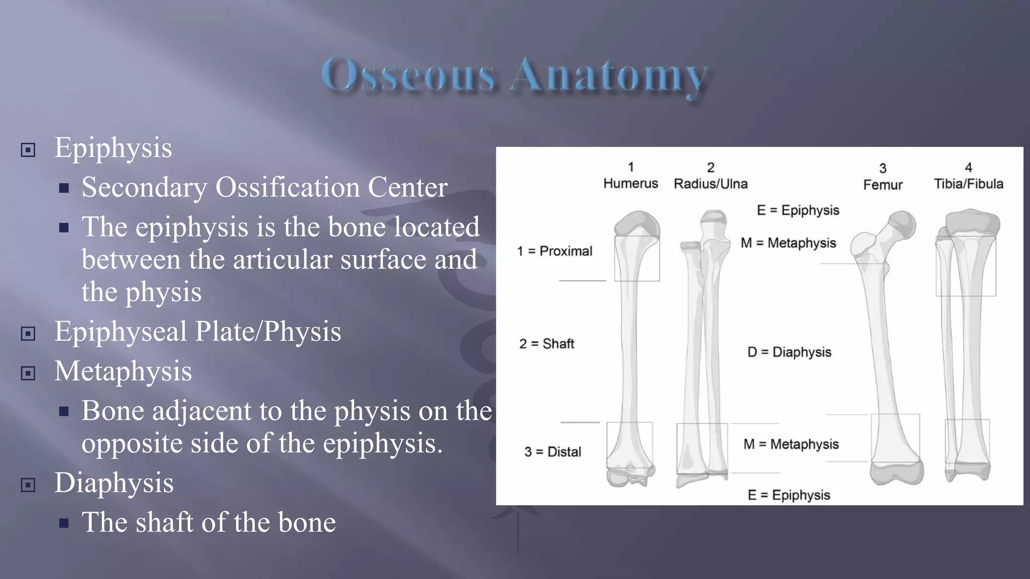 EPIPHYSEAL INJURIES .pptx