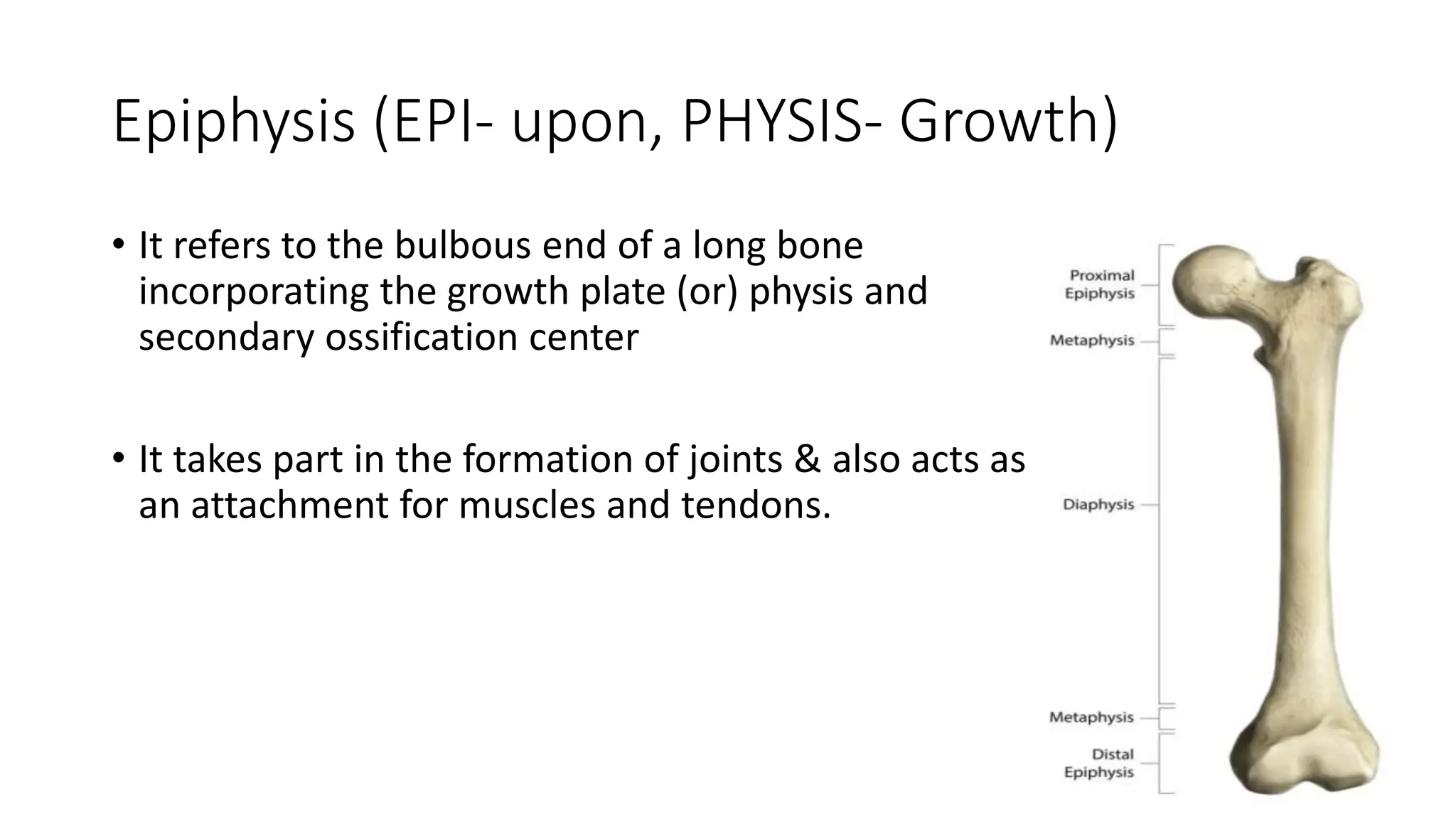 epiphyseal injuries.pptx